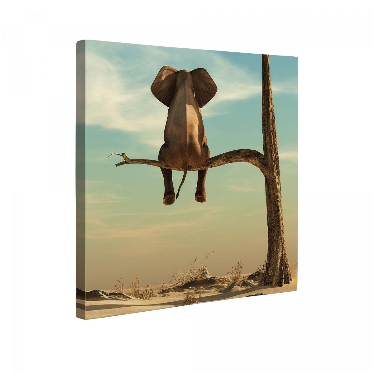 Картина Lonely elephant 50x50 см 14221477 на топ цена — Home Max | ex ...