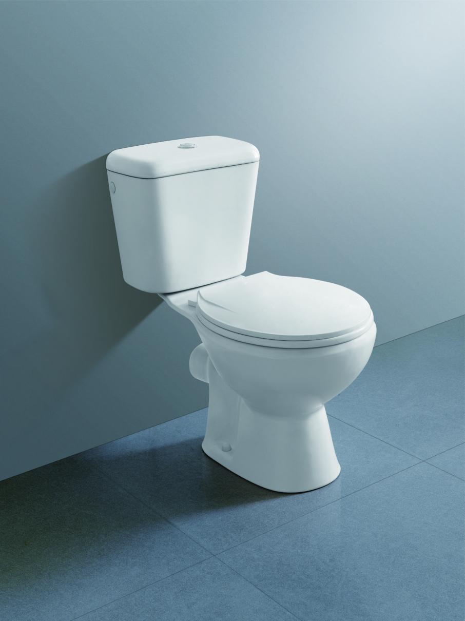 Порцеланов моноблок с тоалетна седалка 07039324 на топ цена — Home Max ...