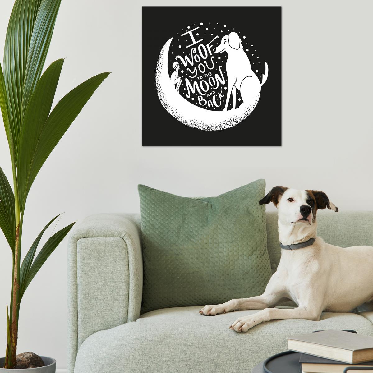 Картина Woof 50x50 см 14221569 на топ цена — Home Max | ex Baumax