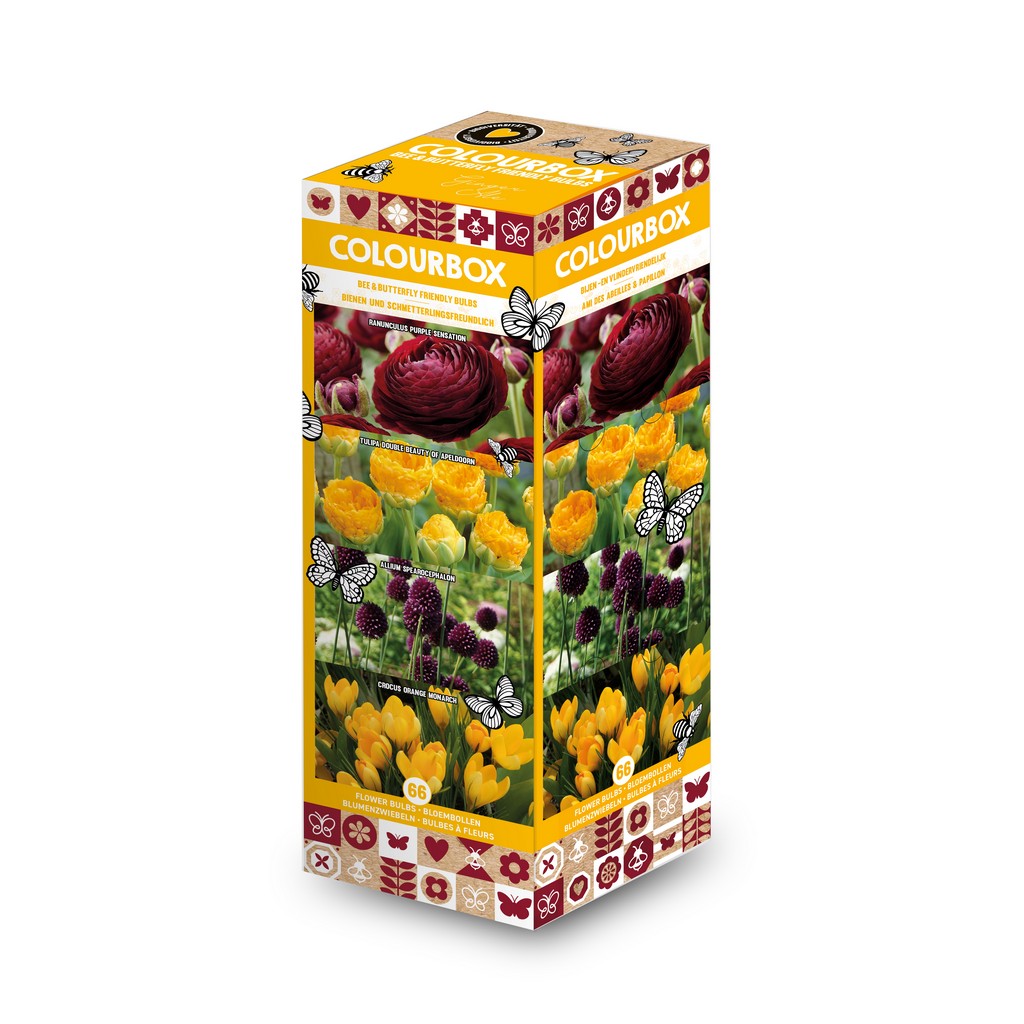 Луковици микс 66бр Ginger Ale Vertical Box 09067448 на топ цена — Home ...